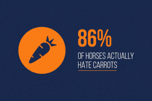 Editor's Bundle - aescripts.com